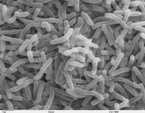 Shambhu Nath De: The Medical Man of Cholera aka 'Blue death'