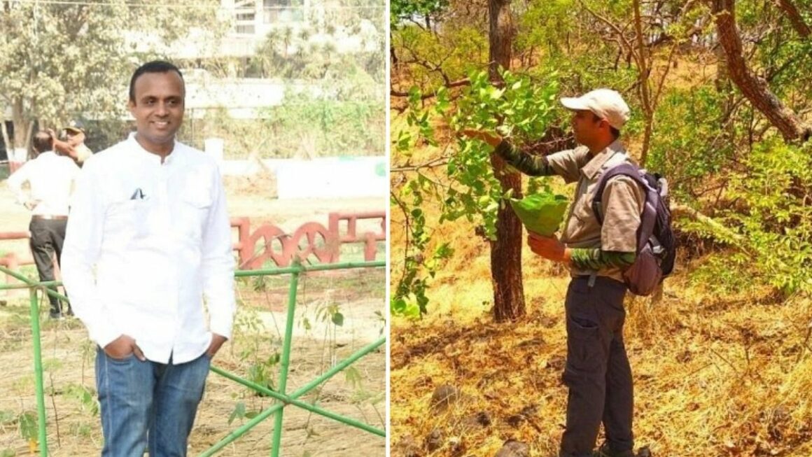 Urban Forest Created by Maharashtra Man has 400 Native Plant Species