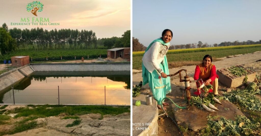 Haryana Farm Run By Working Couple Earns Them Triple