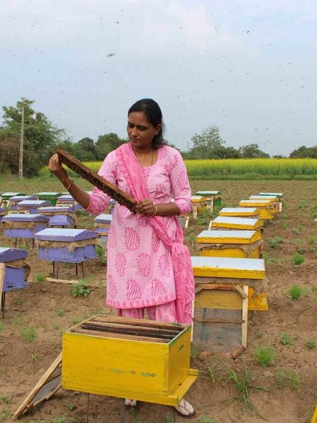 Bee Keeping Helps Gujarat Farmer Earn lakhs