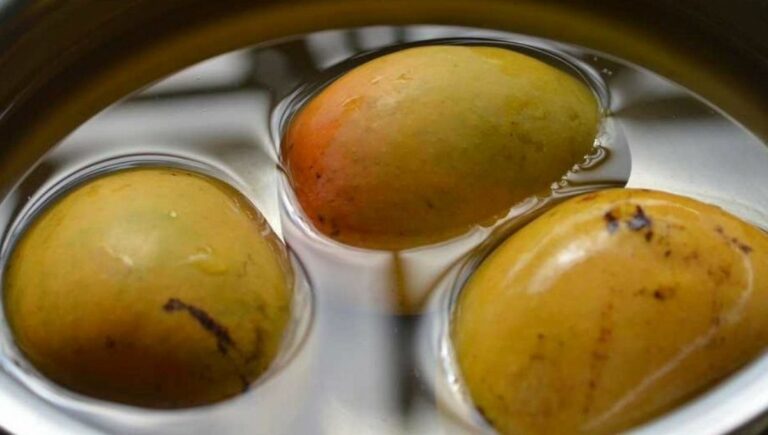 Soaking Mango In Water Before Eating Is Important, What Science Says?