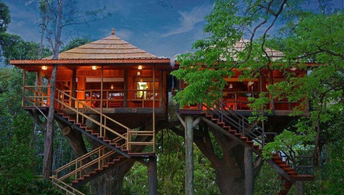 ट्री हाउस जो आपके वेकेशन को बनाएंगे और यादगार, मिलेगा खास अनुभव